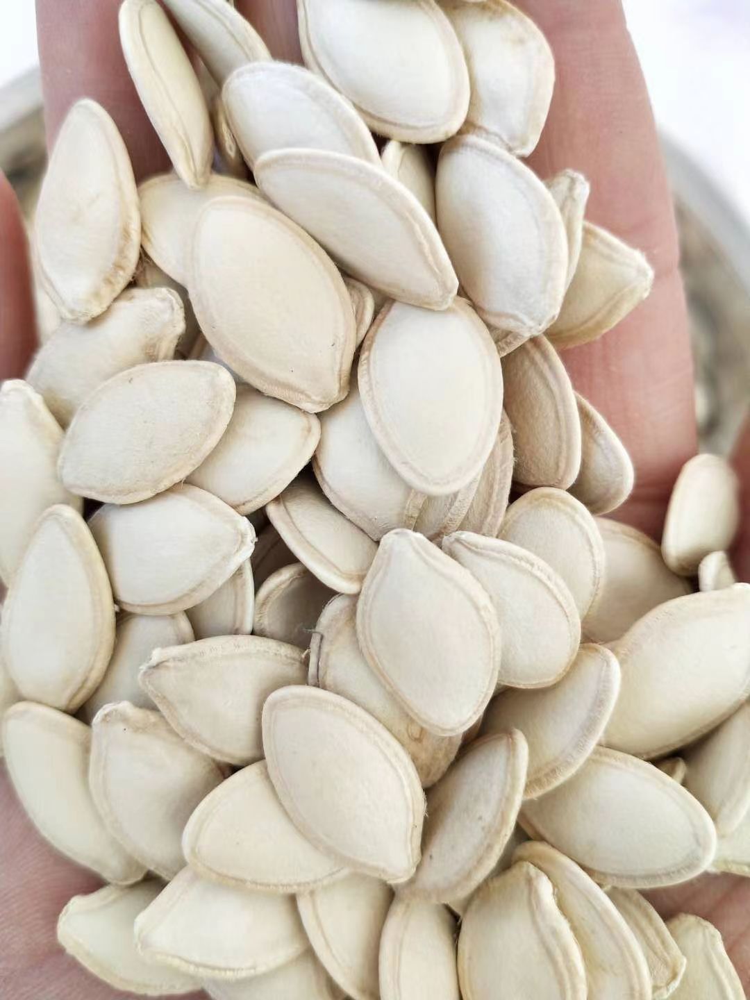 Shine Skin pumpkin seeds,Shine Skin Pumpkin seeds & Kernel